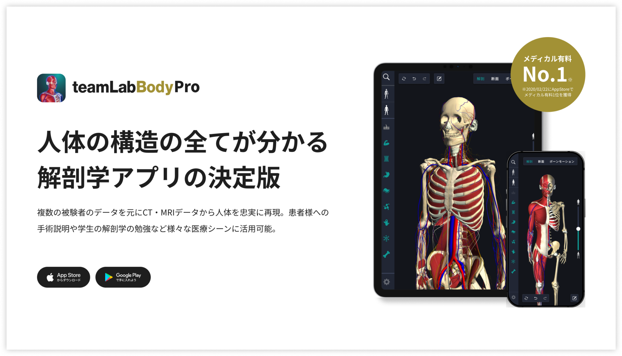 Apa itu saraf optik? Jelaskan cara mempelajari anatomi manusia, lokasi ...